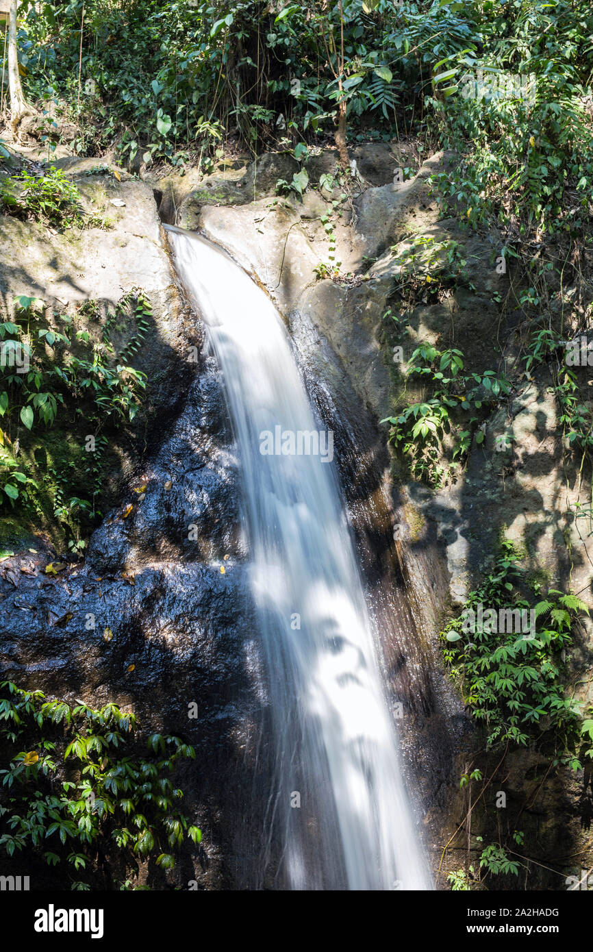 View of waterfall and greenish forest landscape, Rainforest in Bali ...