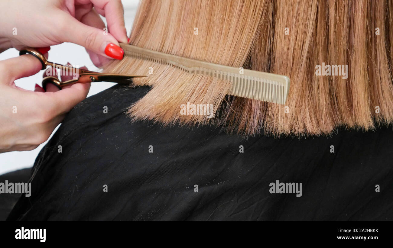 A close-up of hairdresser's hands cutting hair Stock Photo - Alamy