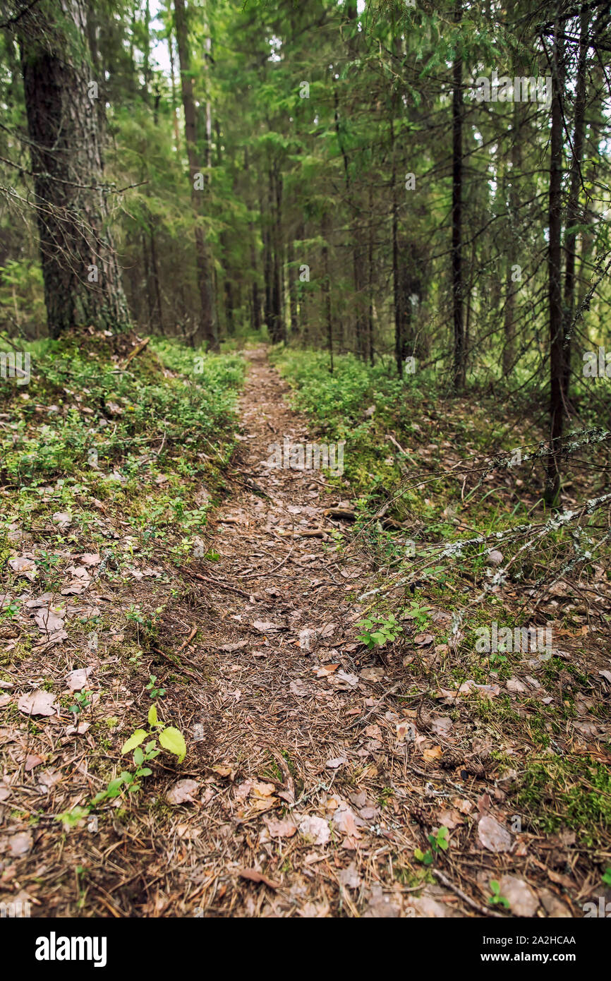 Well trodden hi-res stock photography and images - Alamy