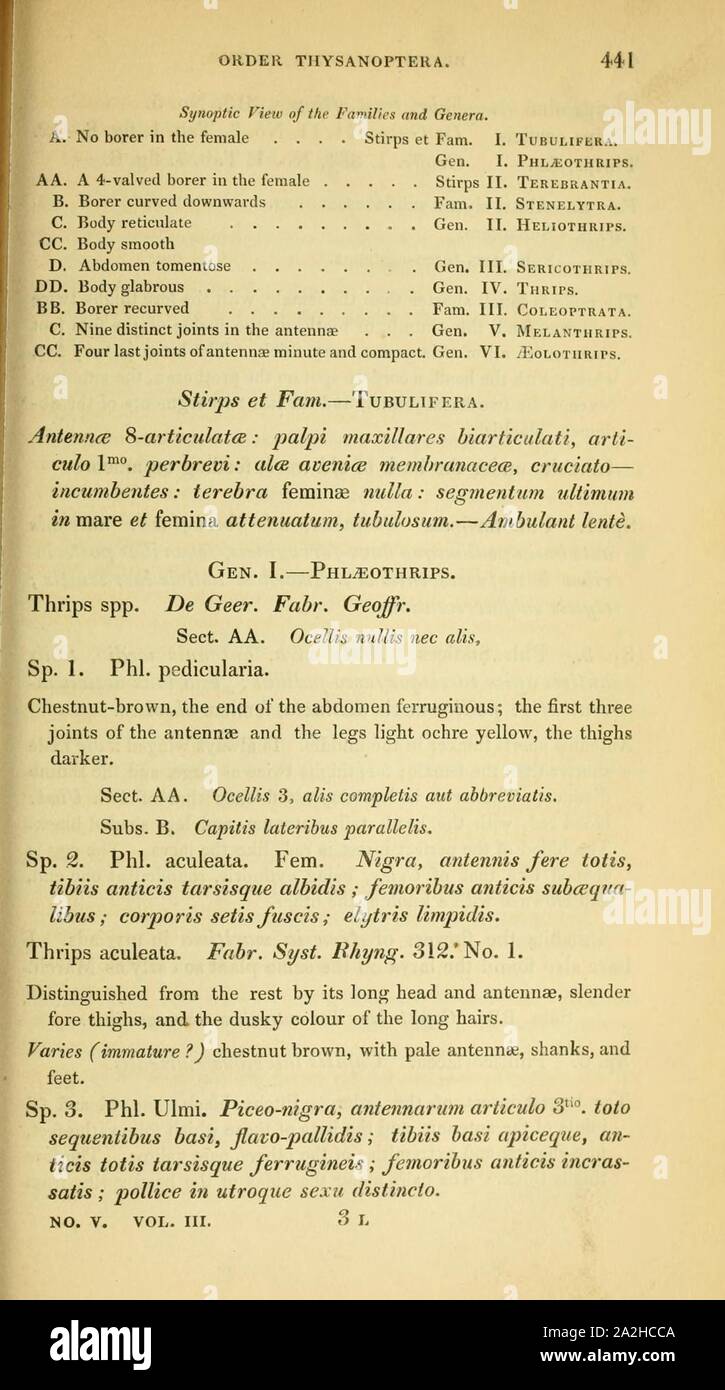 Entomological reference hi-res stock photography and images - Alamy