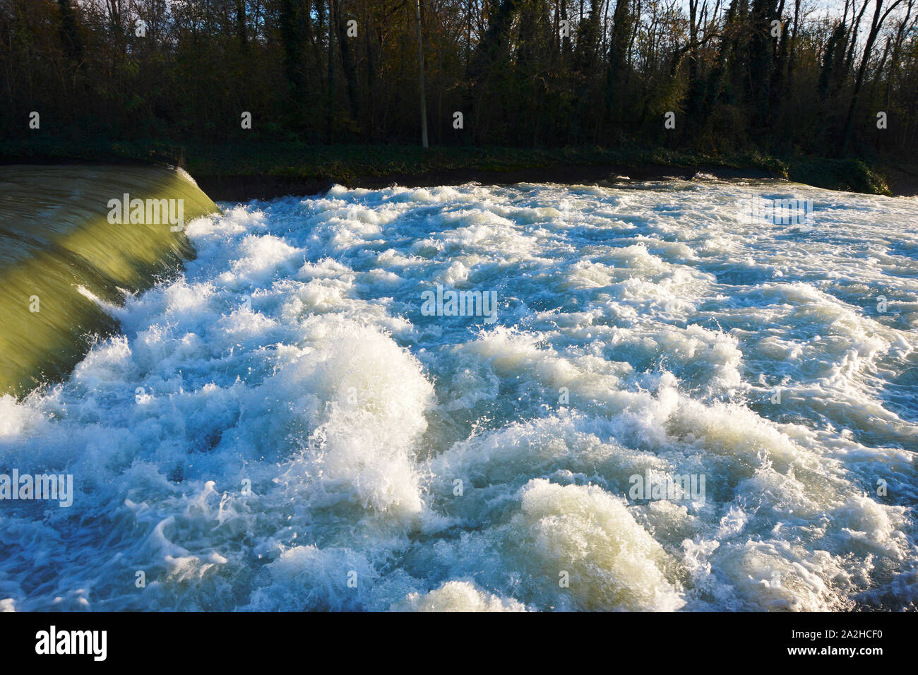 Italy, Parco del Ticino, Ticino National park Stock Photo - Alamy