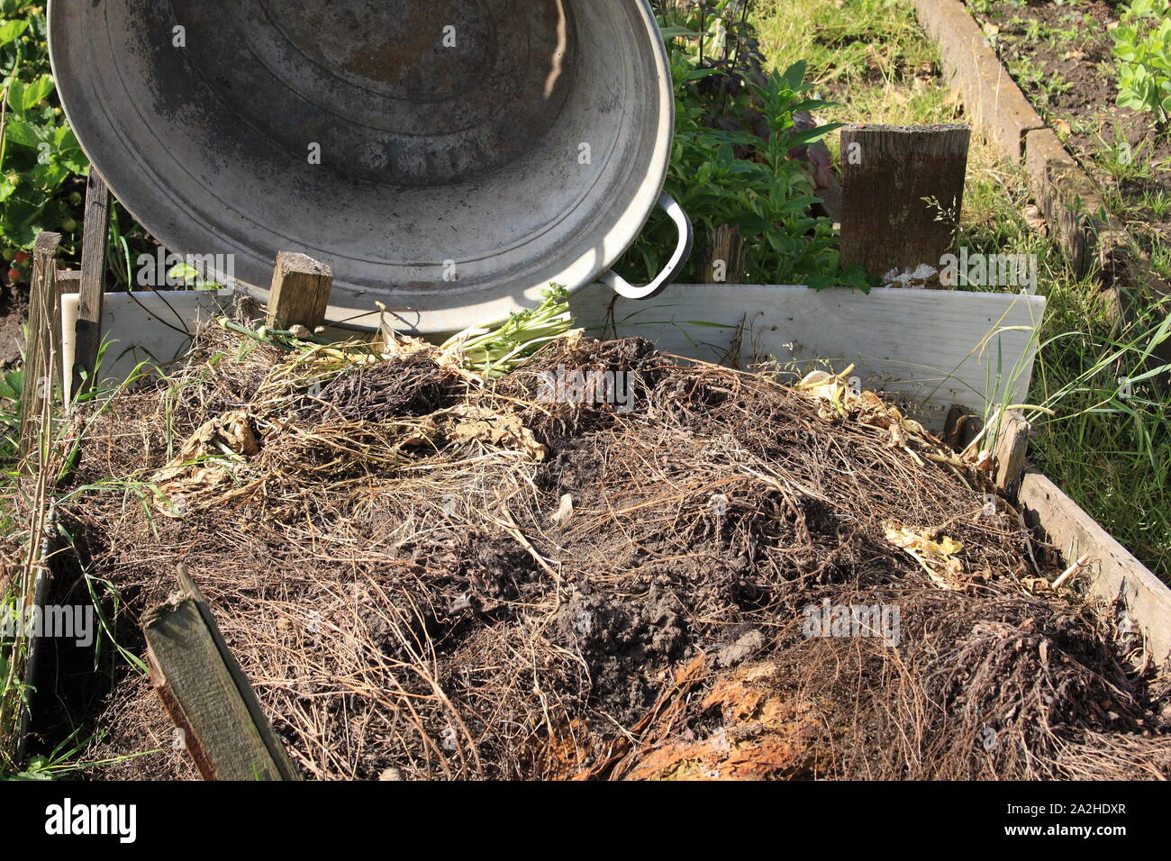 Compost heap leaves kitchen hi-res stock photography and images - Alamy