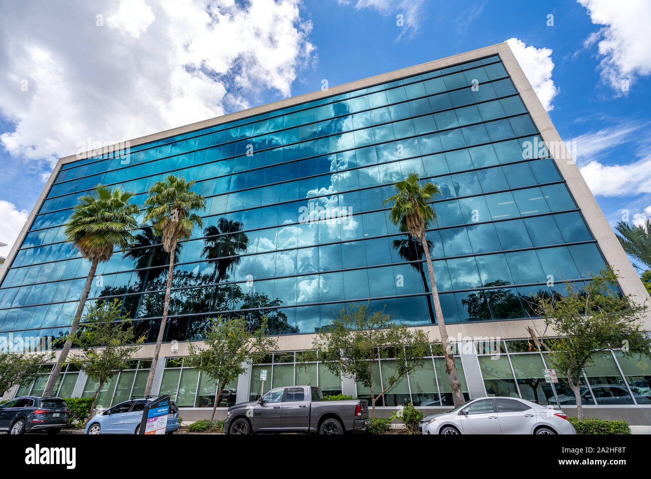 Success concept tree architecture hi-res stock photography and images ...