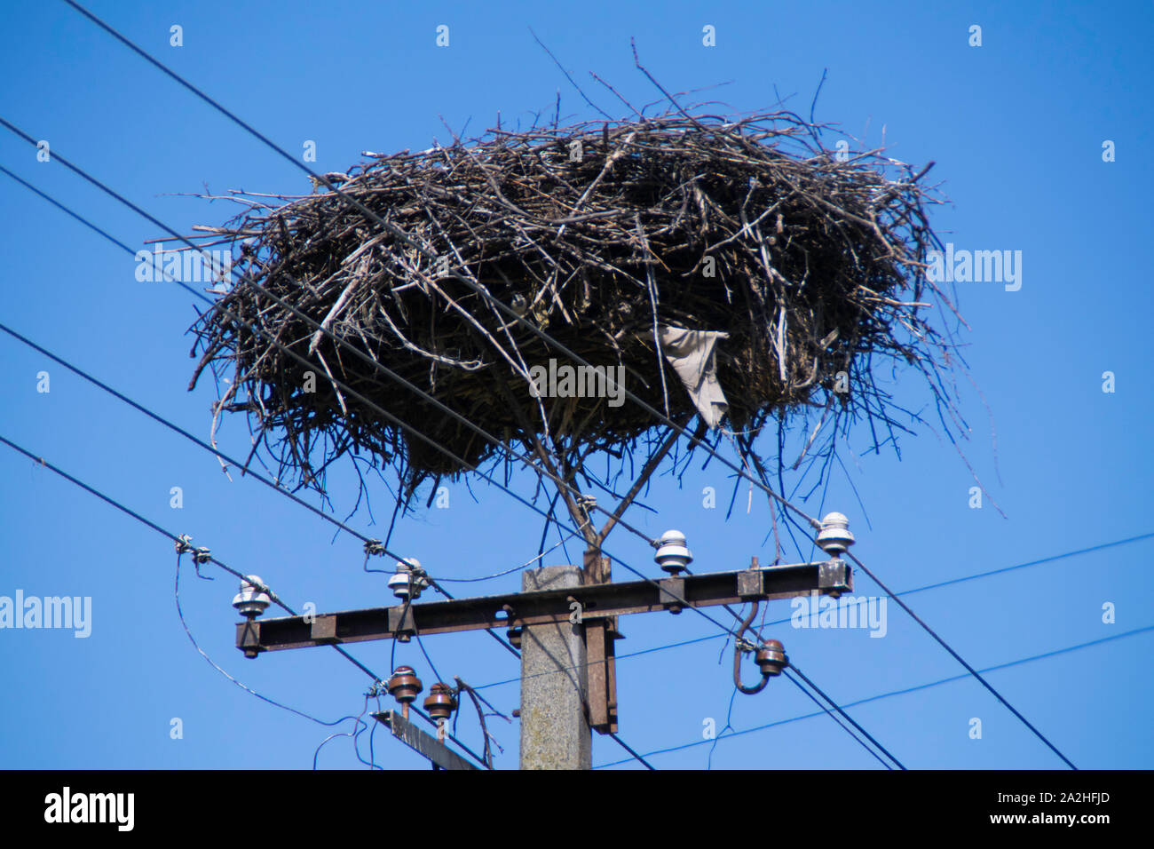 Empty stork nest at the top of an electrical tower on blue sky ...