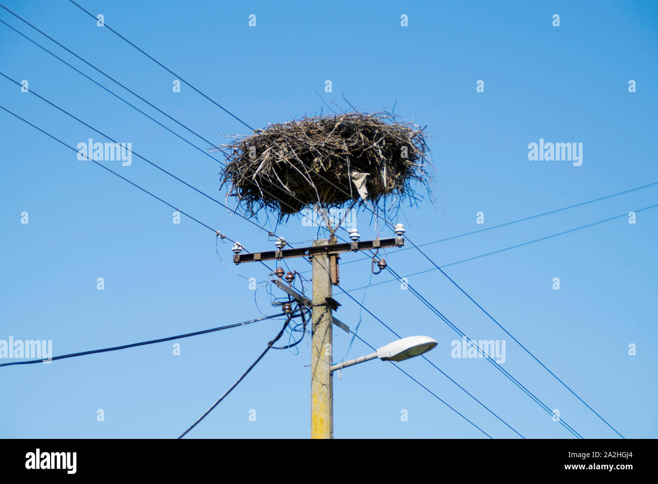Empty stork nest at the top of an electrical tower on blue sky ...