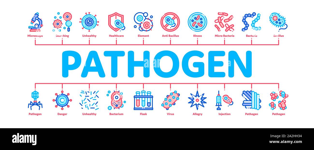 Pathogen Elements Minimal Infographic Banner Vector Stock Vector Image ...