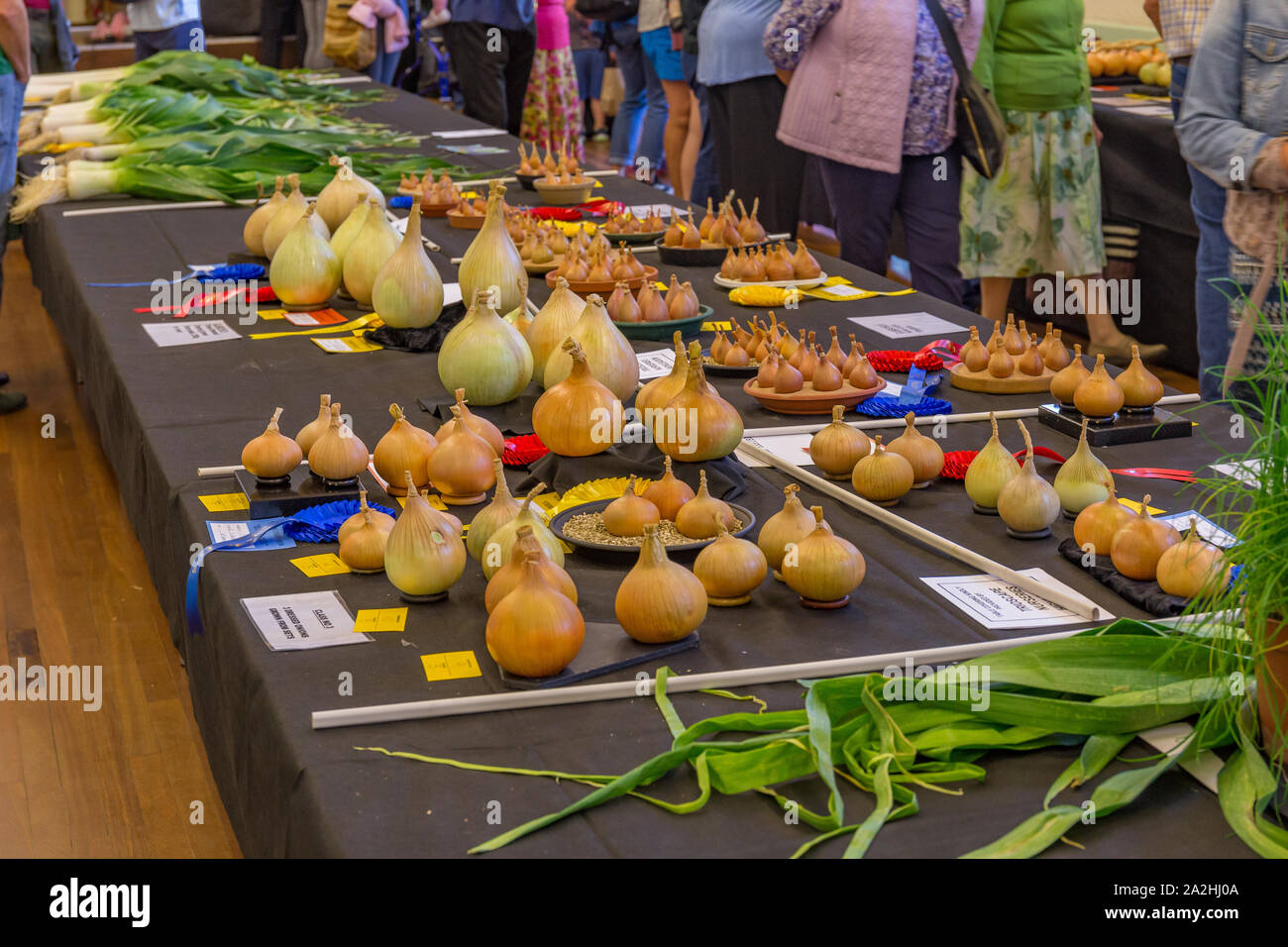 Newent Onion Fayre (2019 Stock Photo - Alamy