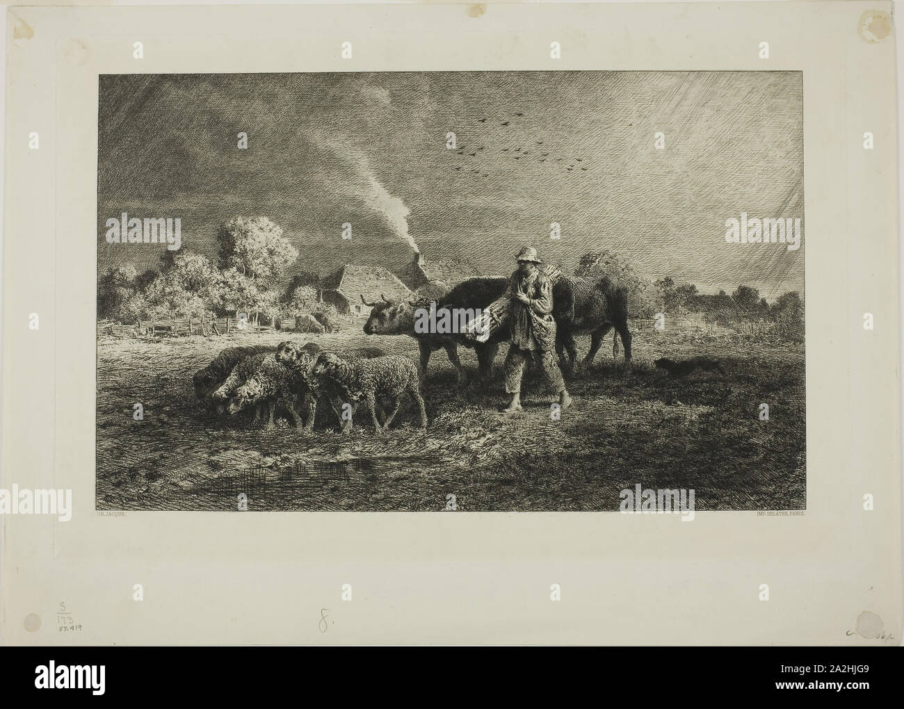 Etching with drypoint burin and roulette hi-res stock photography and ...