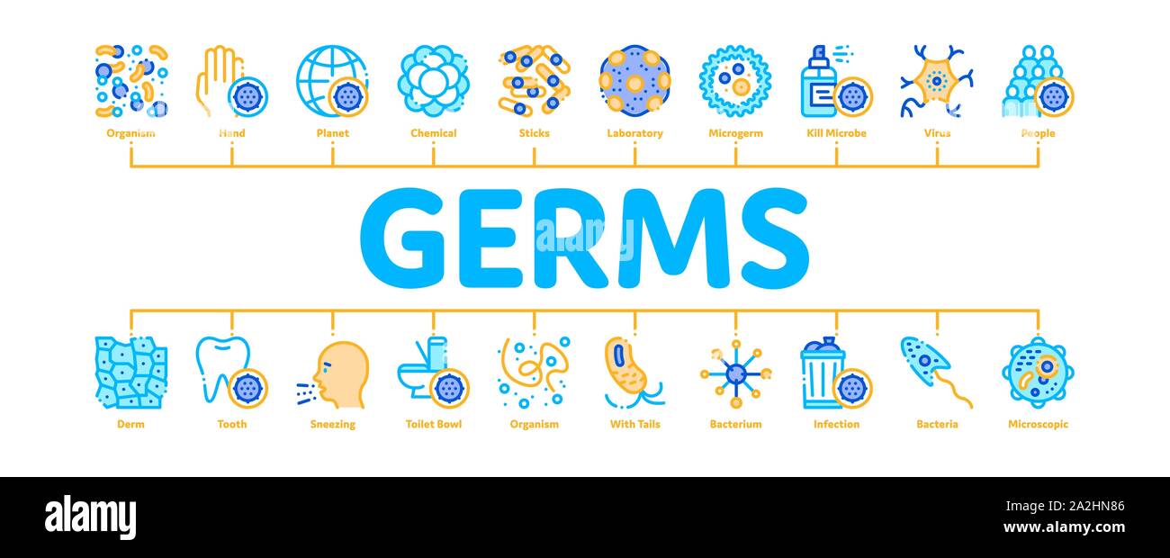 Bacteria Germs Minimal Infographic Banner Vector Stock Vector Image ...