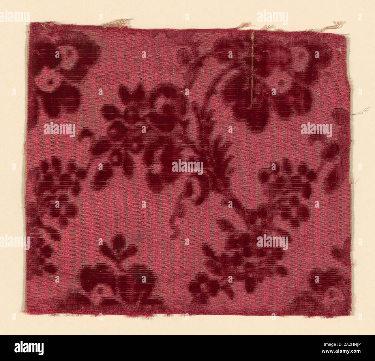 Supplementatry pile warps hi-res stock photography and images - Alamy