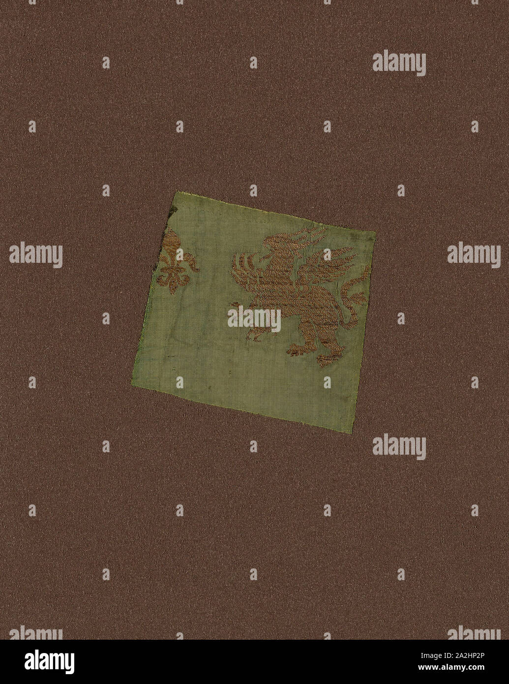 Animal substrate wrapped hi-res stock photography and images - Alamy