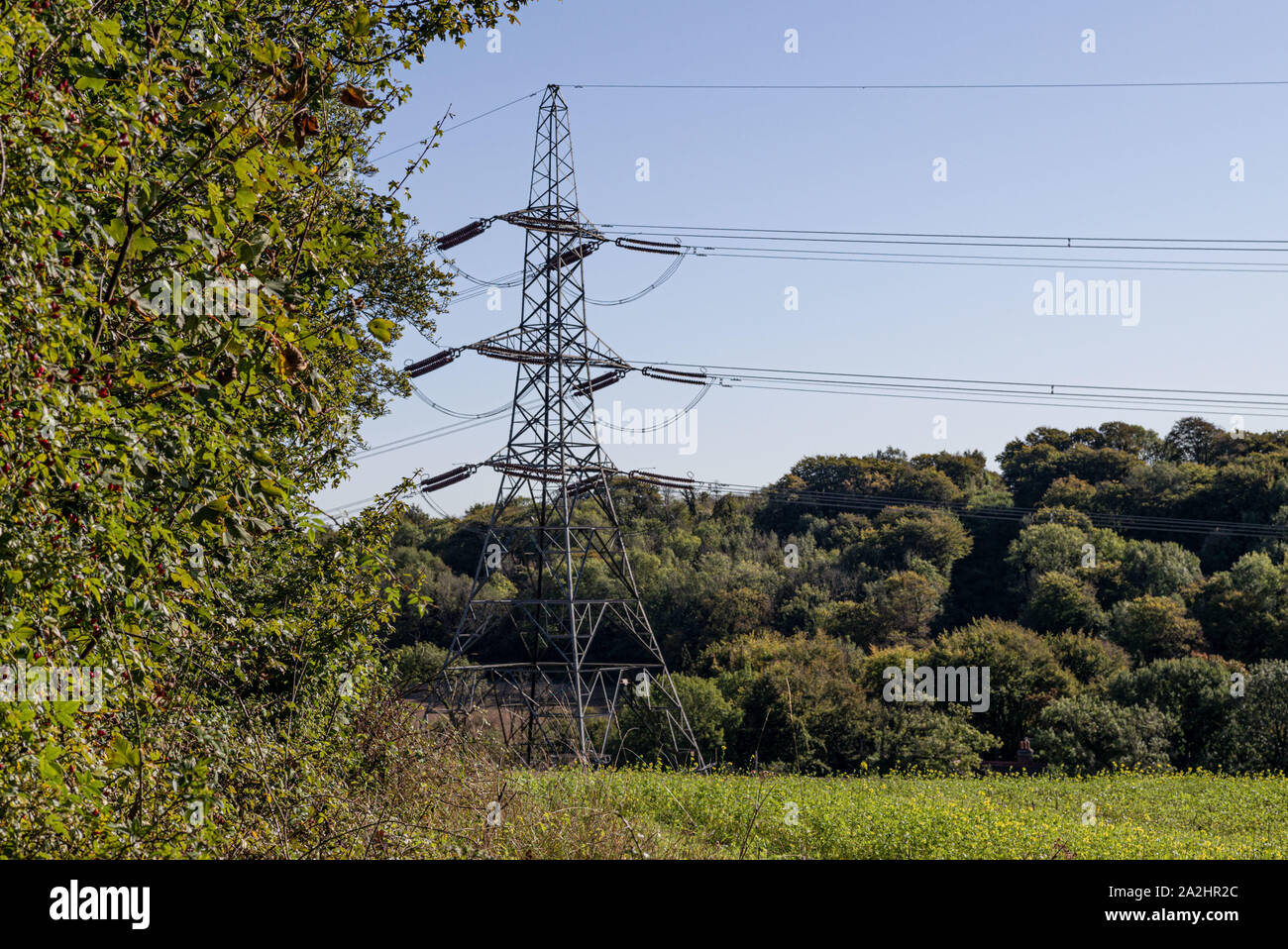 Electricity pylons of the United Kingdom national grid in a field of ...