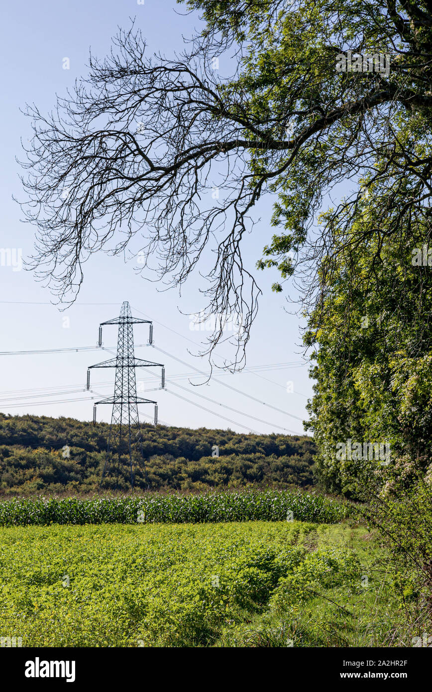 Buriton hi-res stock photography and images - Alamy