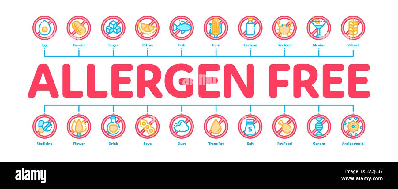 Allergen Free Products Minimal Infographic Banner Vector Stock Vector ...