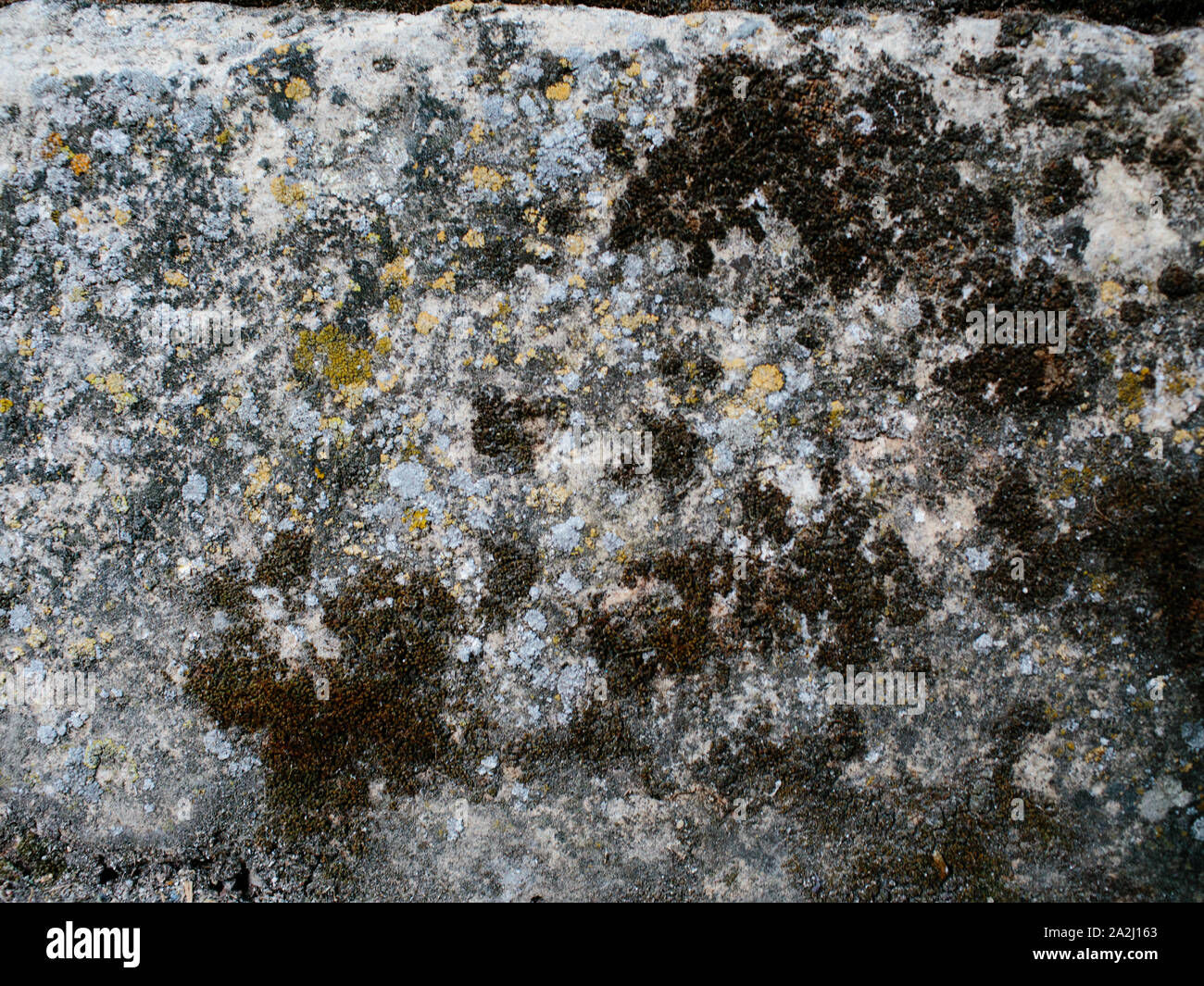 Stone texture covered in moss Stock Photo - Alamy