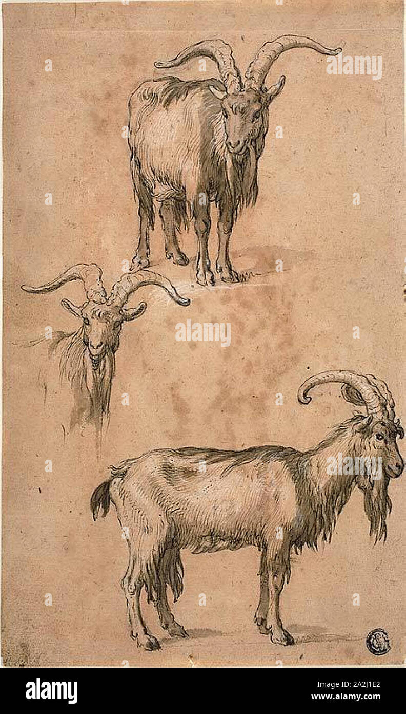Partly goat hi-res stock photography and images - Alamy