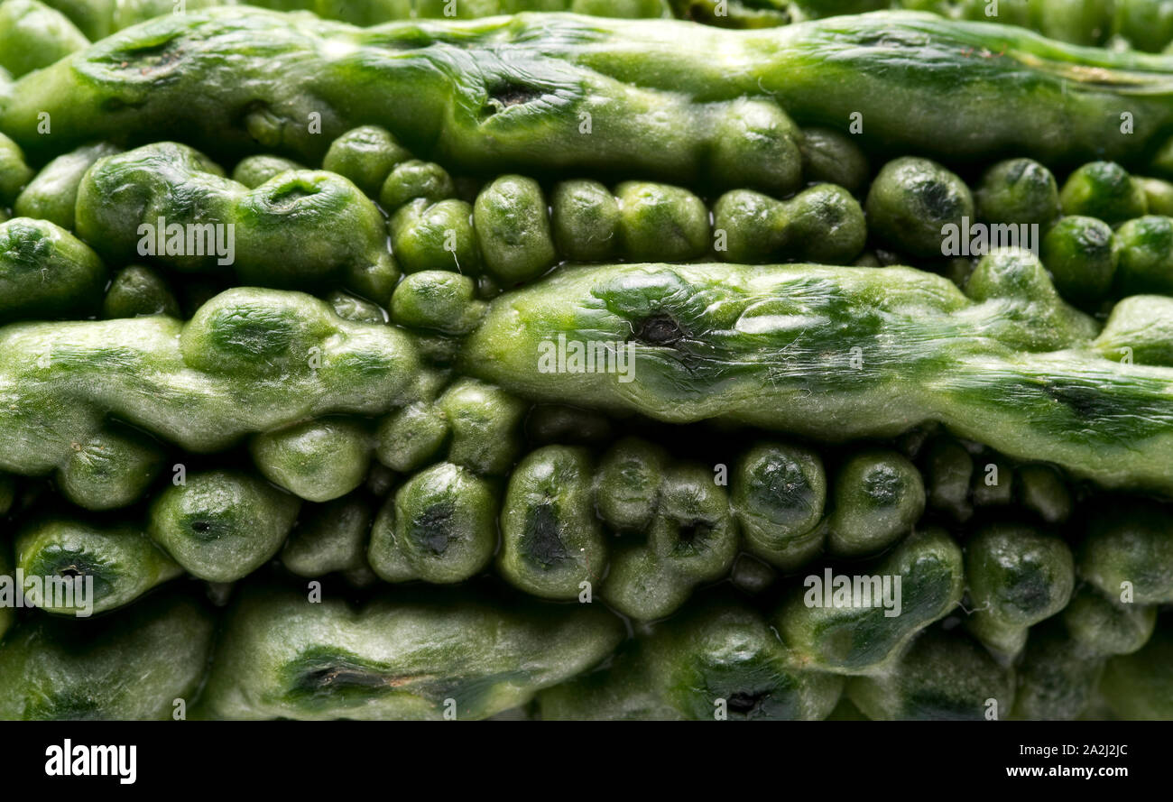 Closeup of bitter gourd Stock Photo - Alamy
