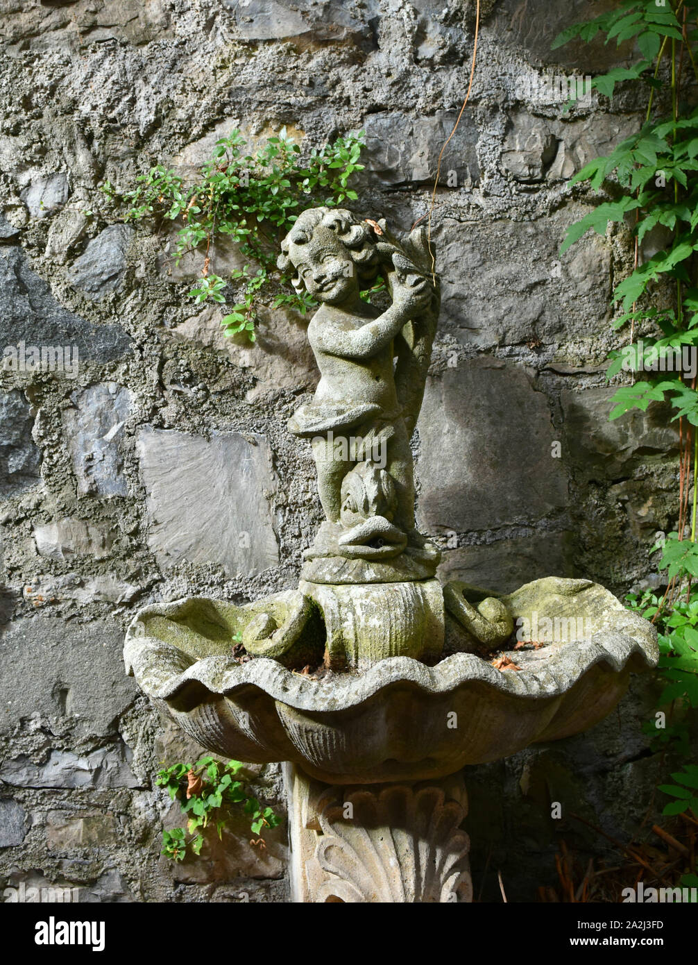 Fotan hi-res stock photography and images - Alamy