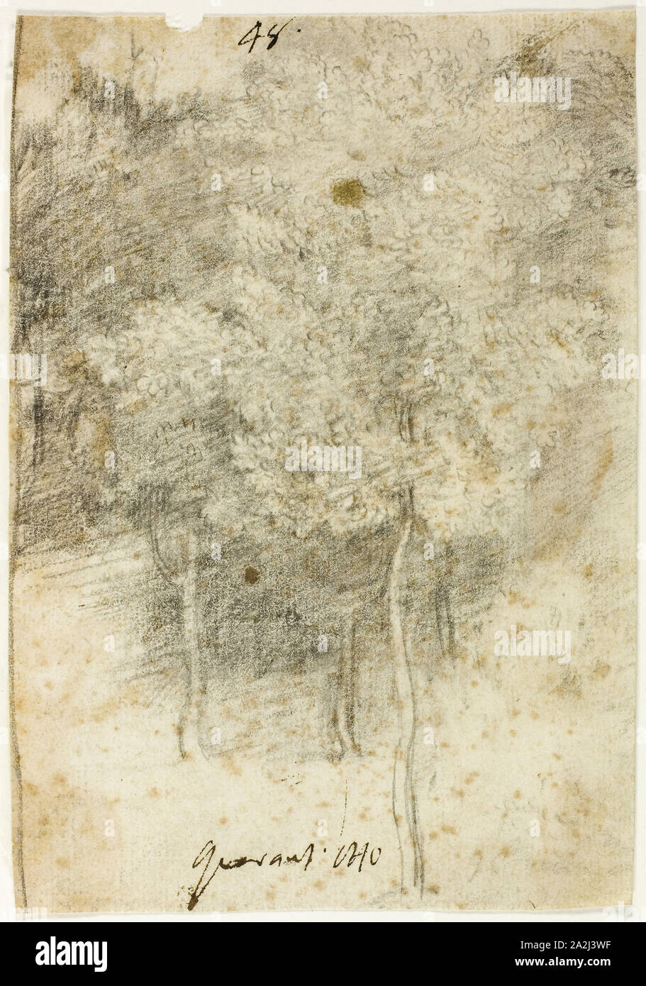 Black chalk on ivory laid paper hi-res stock photography and images - Alamy