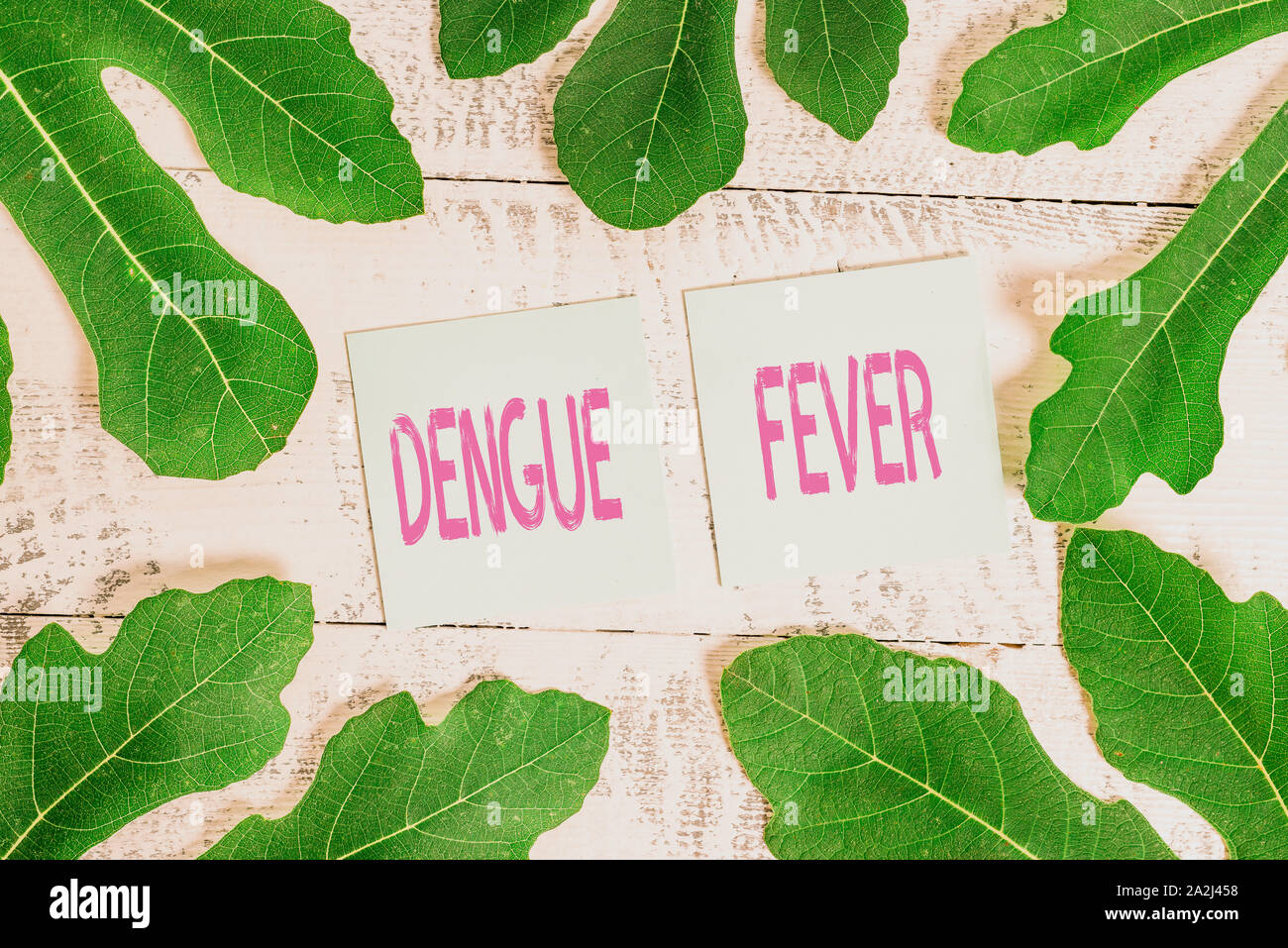 Handwriting text Dengue Fever. Conceptual photo infectious disease ...