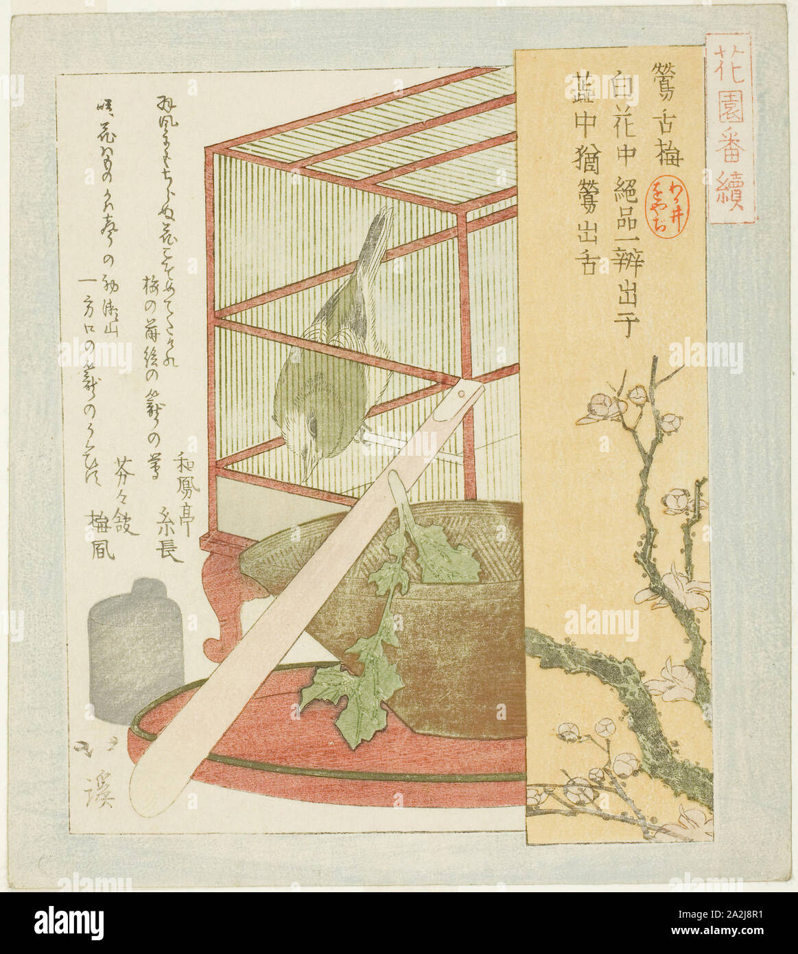 The hanazono group hi-res stock photography and images - Alamy