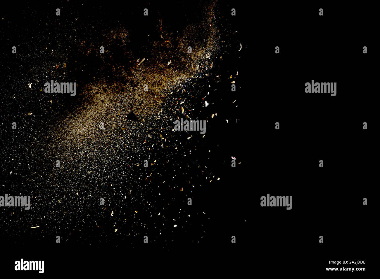 Sand Fly High Resolution Stock Photography and Images - Alamy