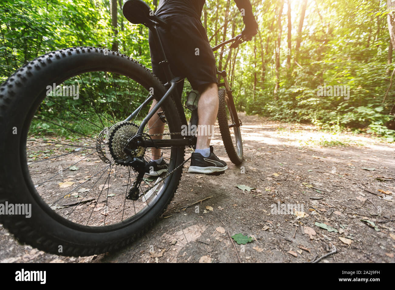Back wheel hi-res stock photography and images - Alamy