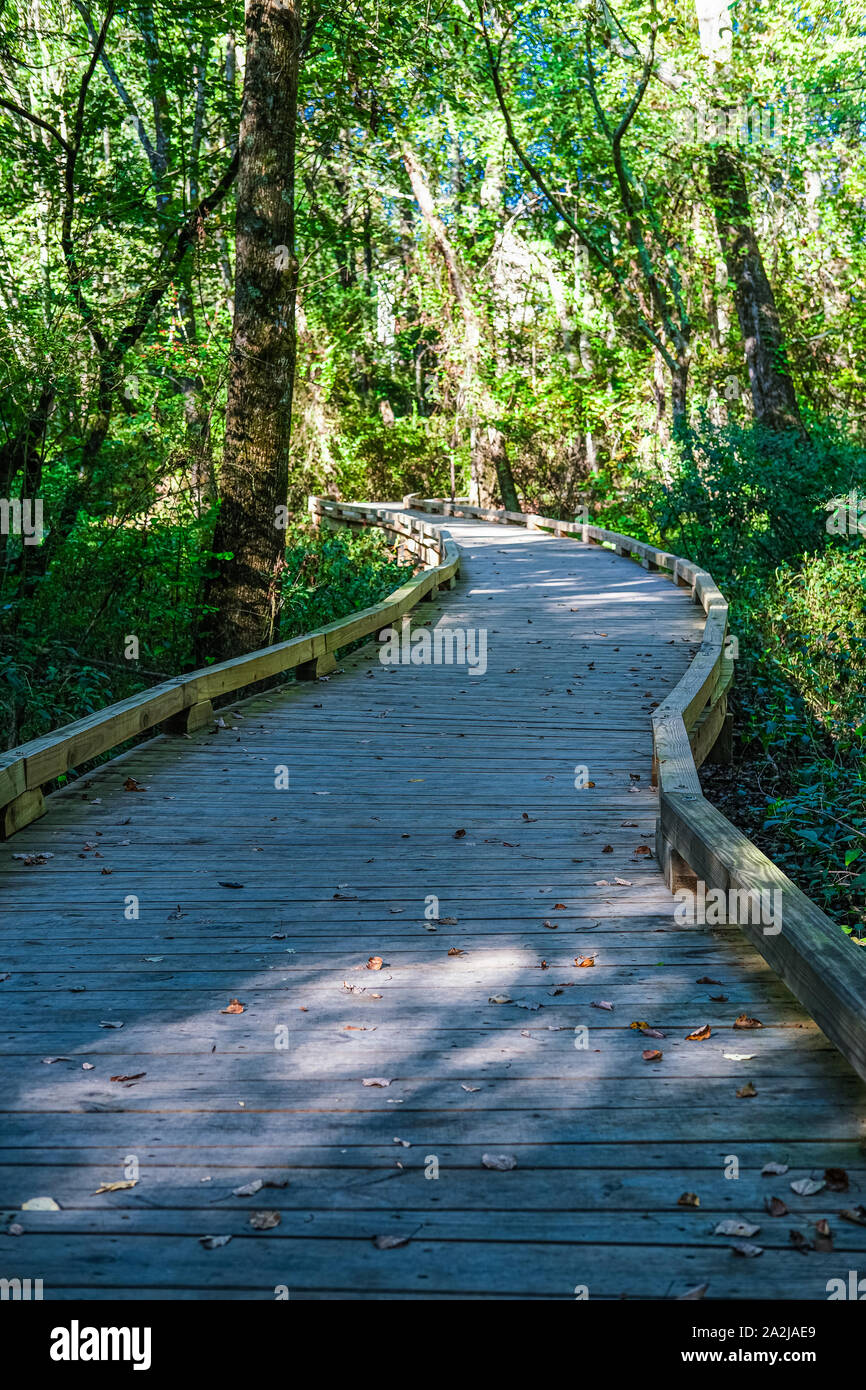 Trail Curving Through Light Stock Photo - Alamy