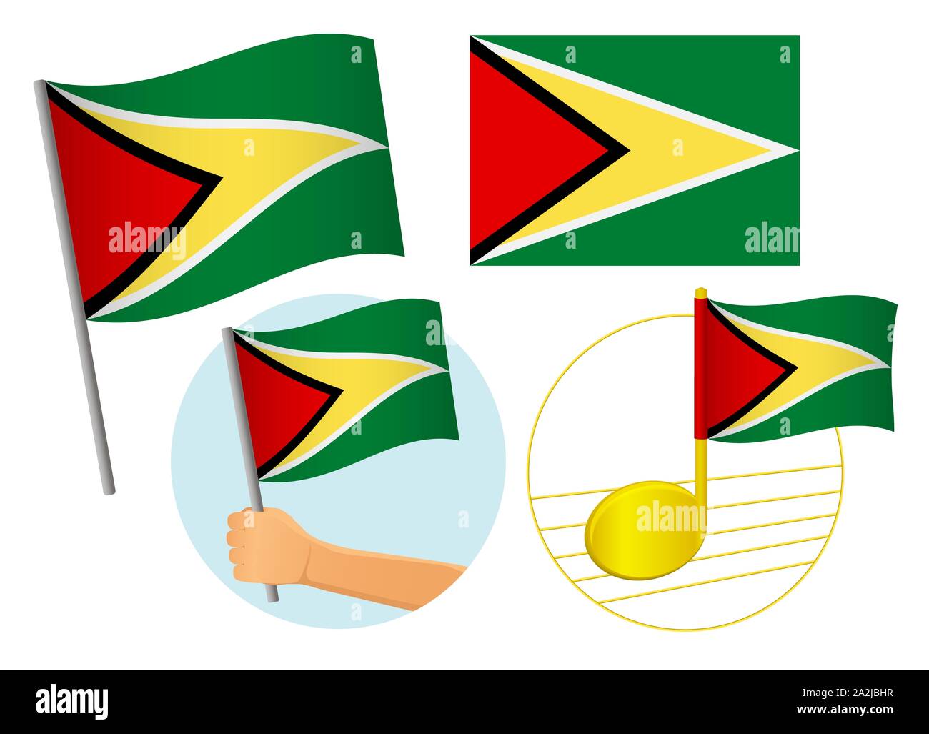 Guyana flag icon set. National flag of Guyana illustration Stock Photo - Alamy
