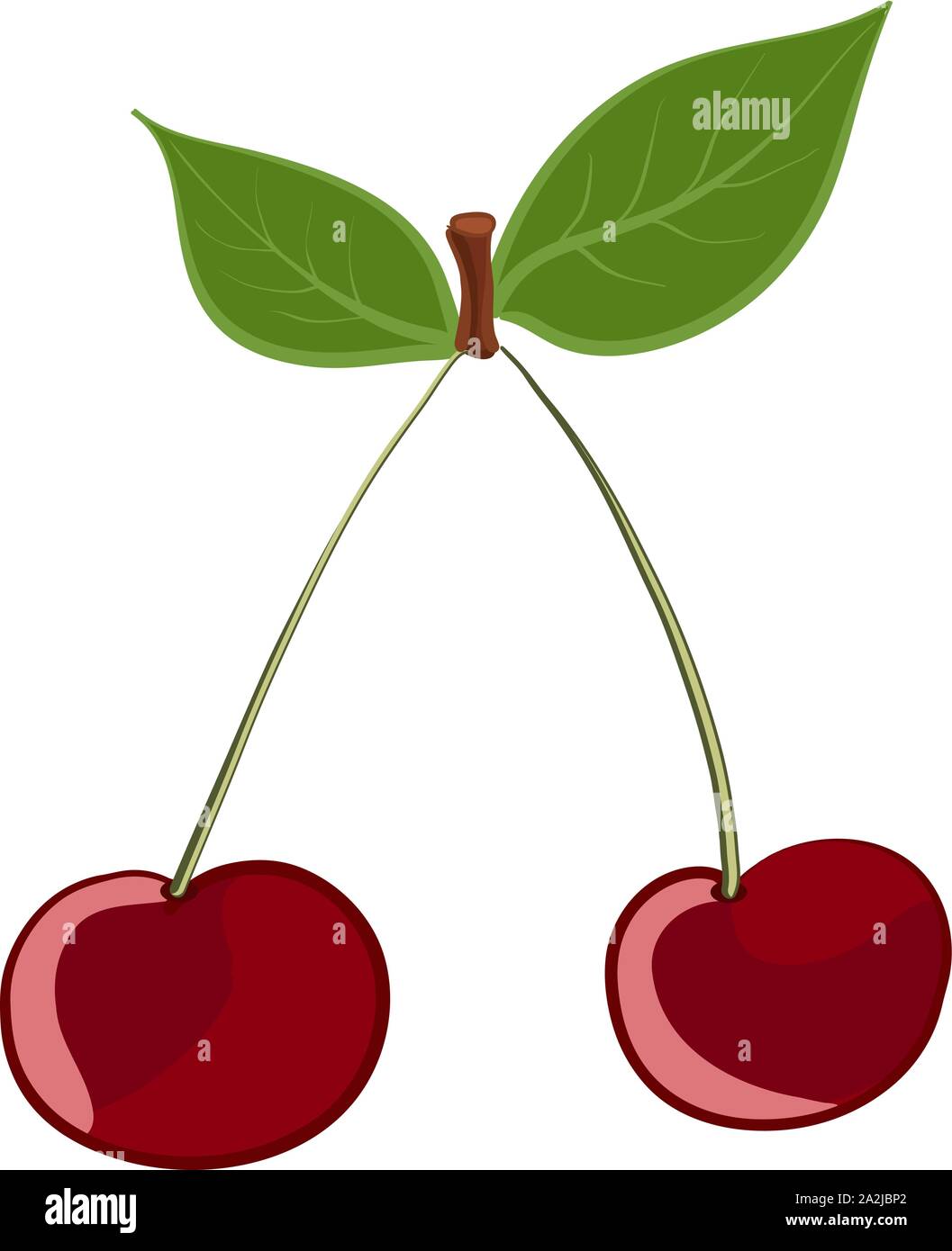 Cherry. Colored drawing Stock Vector Image & Art - Alamy