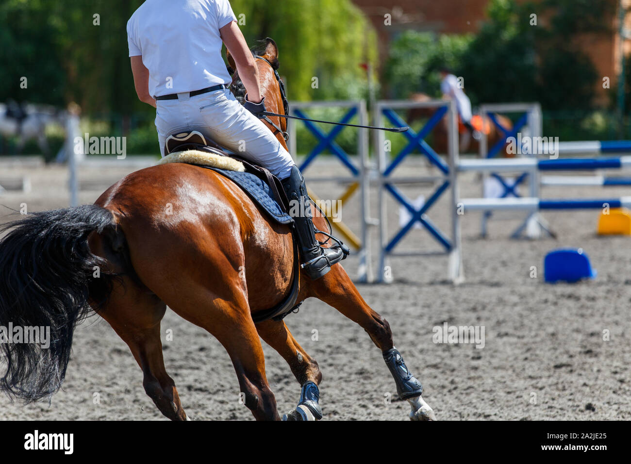 Male horse rider hi-res stock photography and images - Alamy