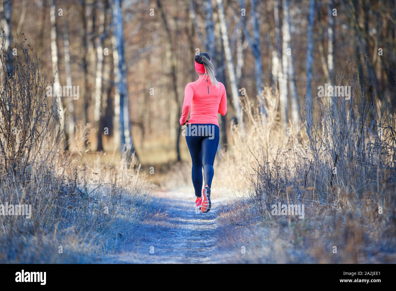 Back view of running girl in fall park in the morning. Sporty jogging ...