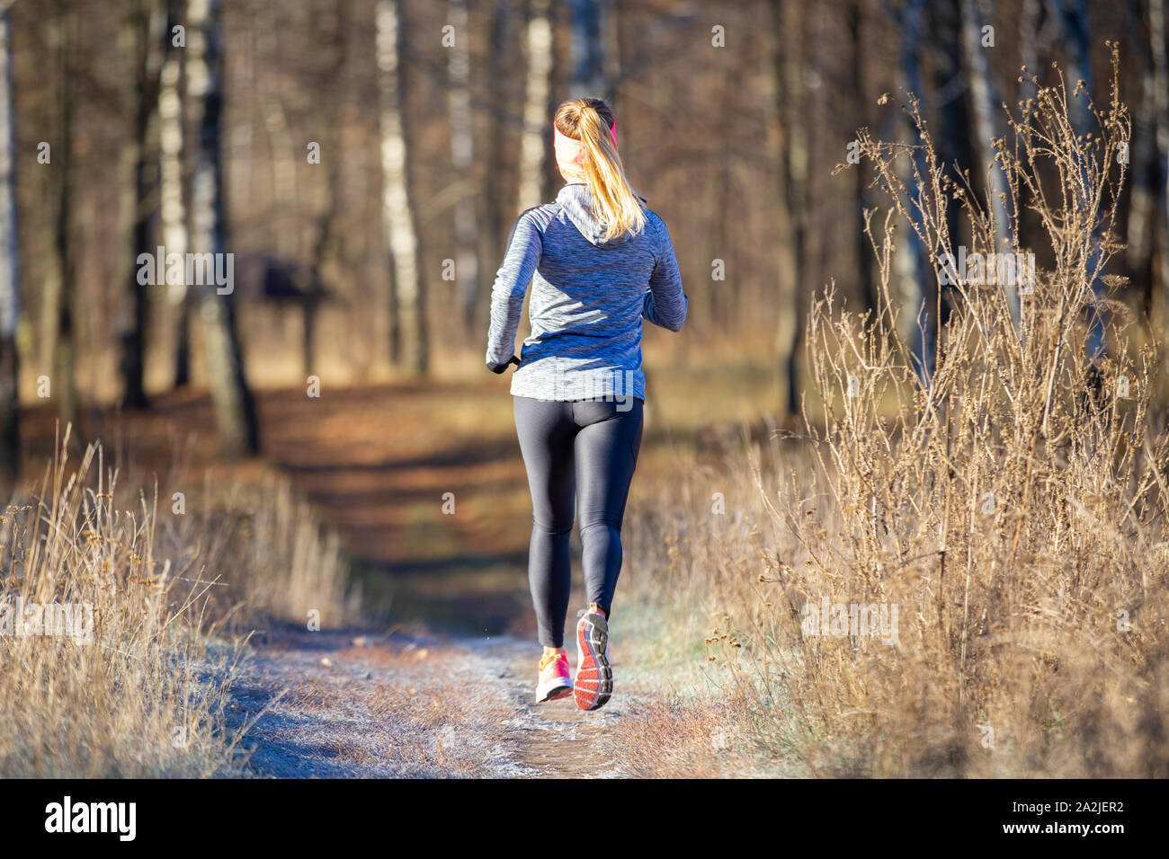 Back view of running girl in fall park in the morning. Sporty jogging ...