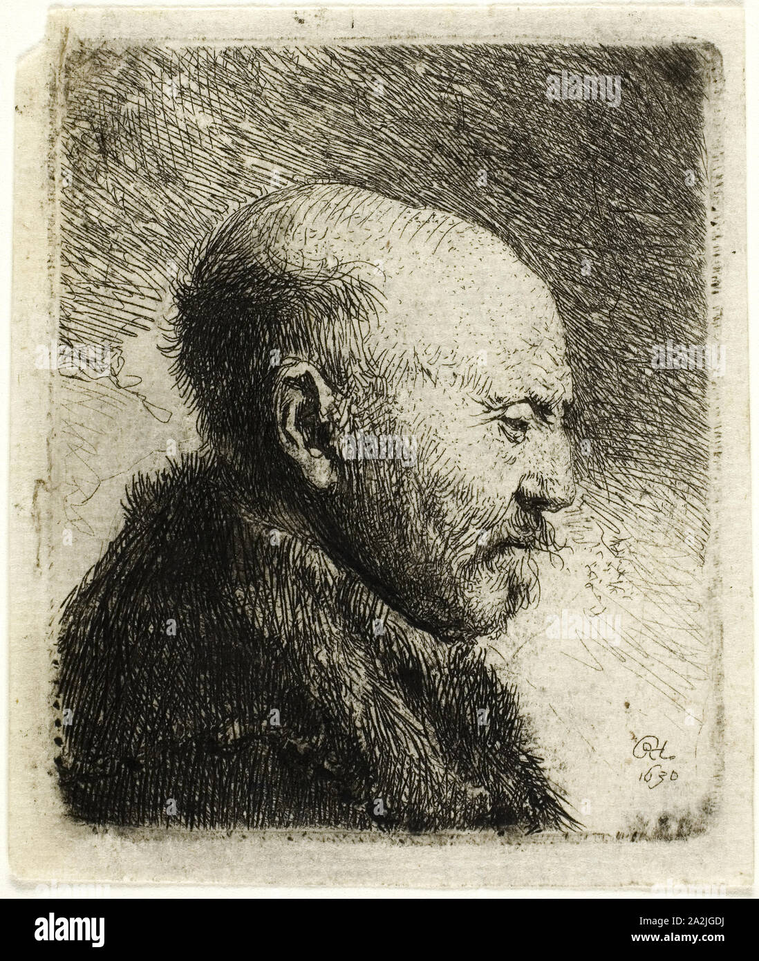 Bald Headed Man in Profile Right: The Artist’s Father (?), 1630 ...