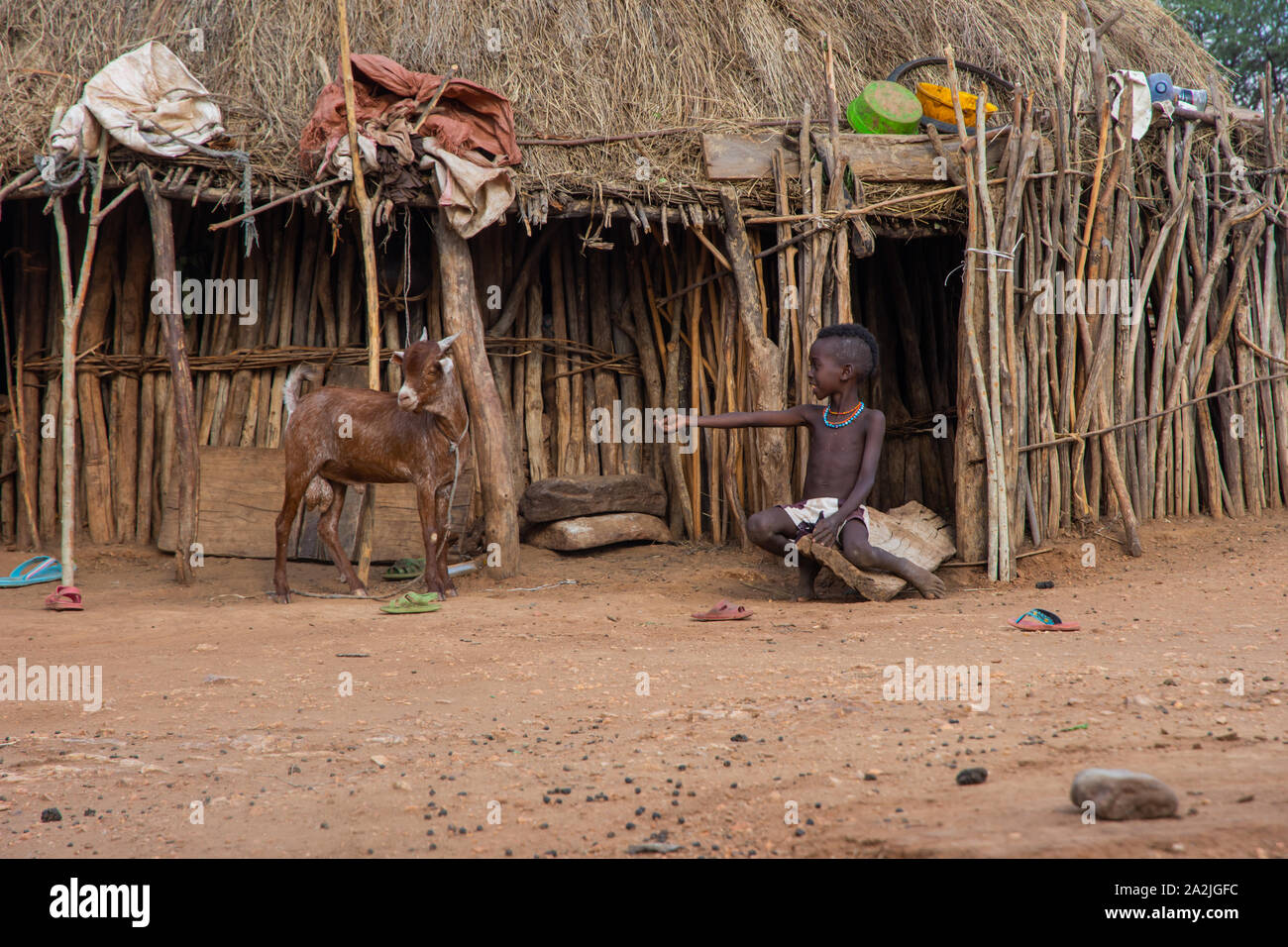 Turmi, Ethiopia - Nov 2018: Hamer tribe kid feeding the goat in front ...