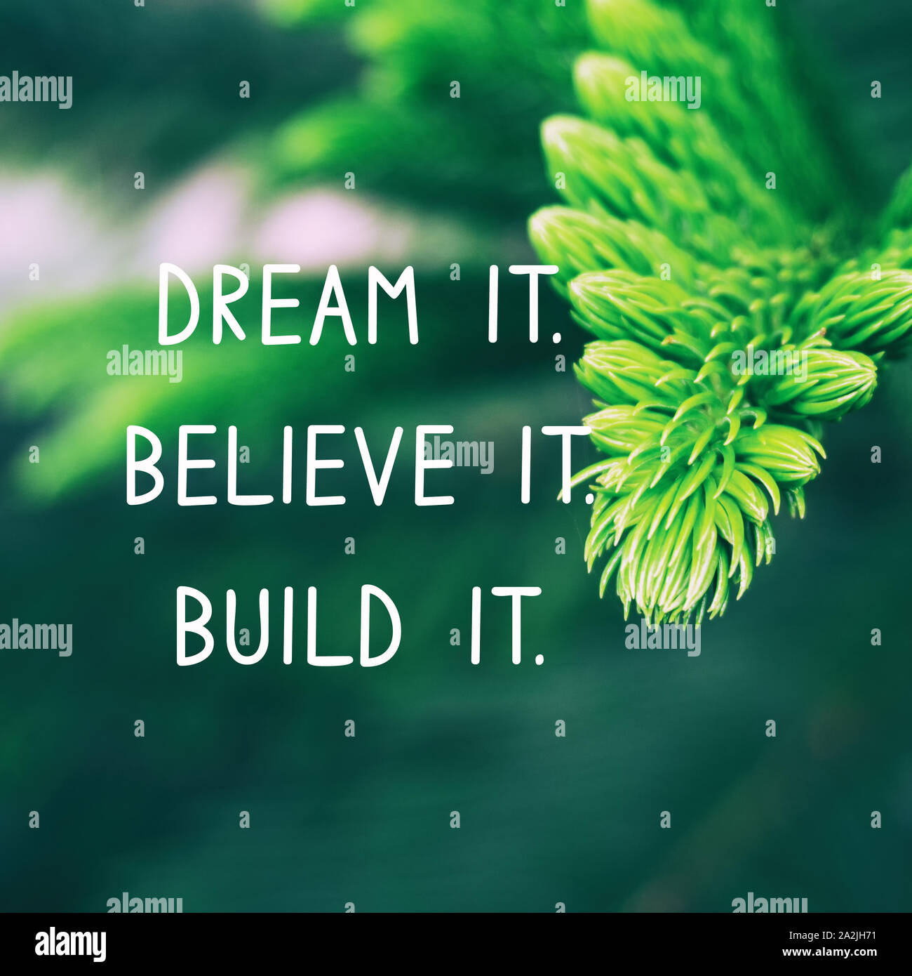 Motivational and Inspirational Quote - Dream it. Believe it. Build it ...