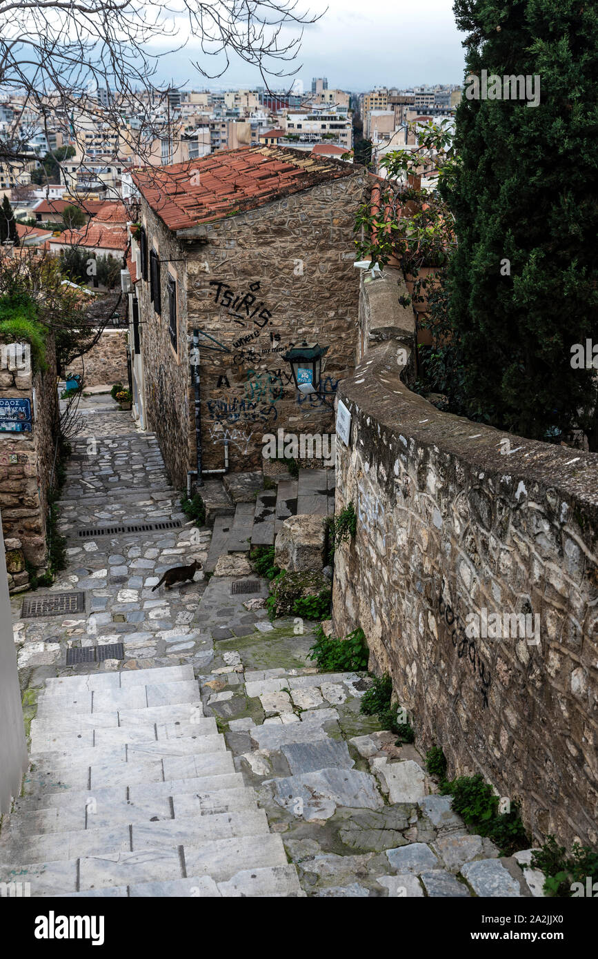 Athens, Greece - December 31, 2018: Cat running on the street with ...
