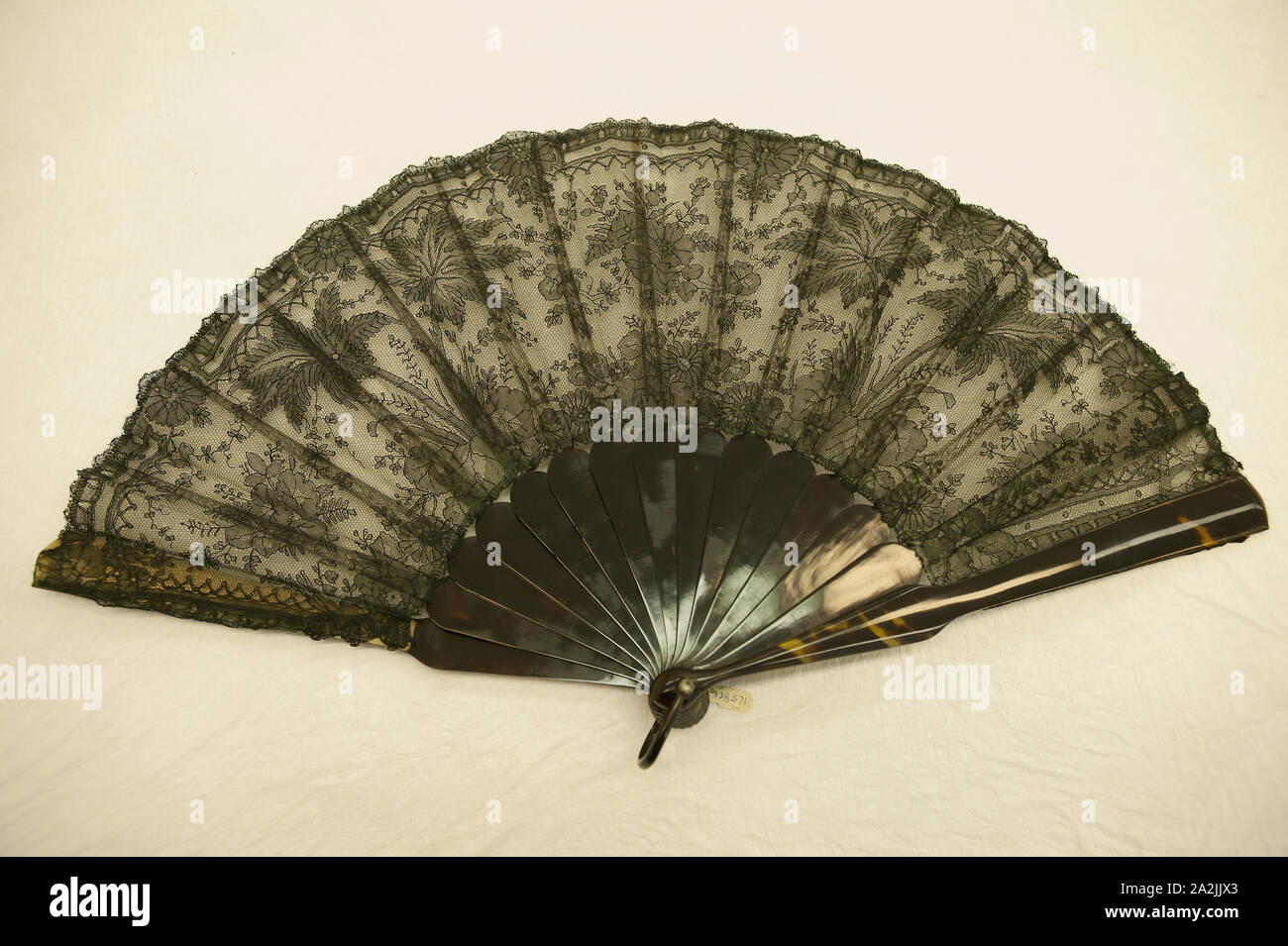 Tortoiseshell lined hi-res stock photography and images - Alamy