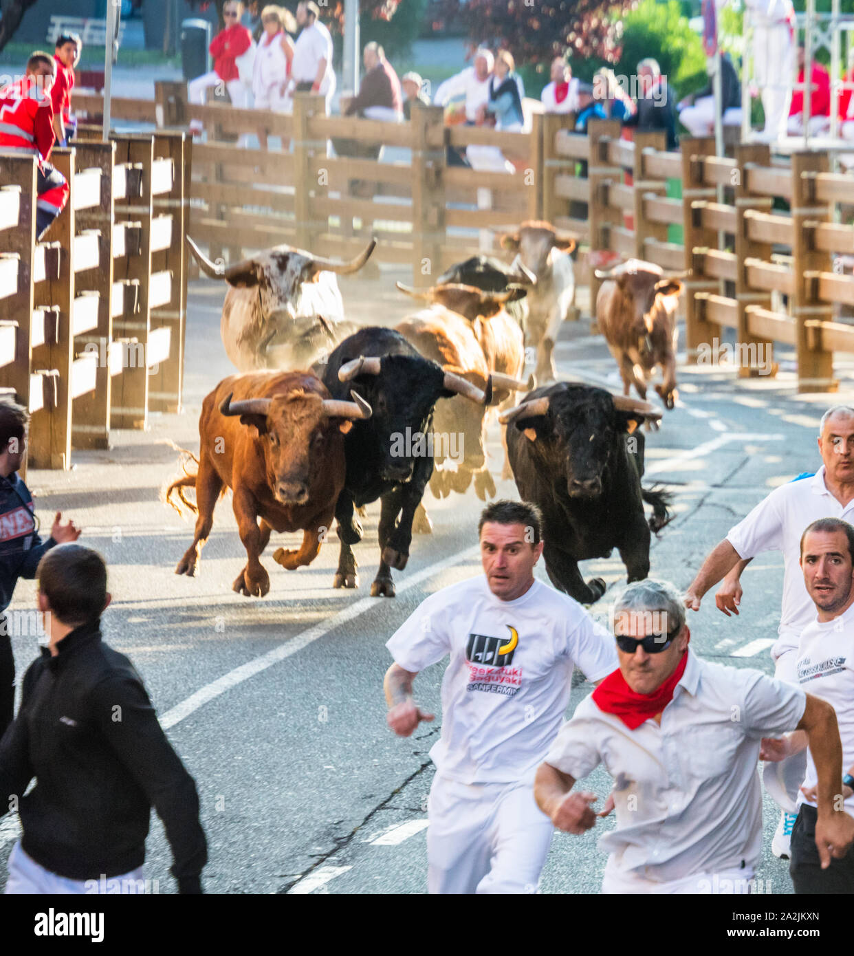 Bull charging spain hi-res stock photography and images - Alamy