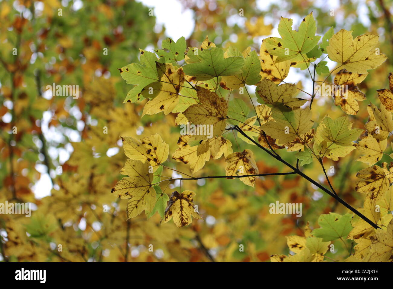 Soon change hi-res stock photography and images - Alamy
