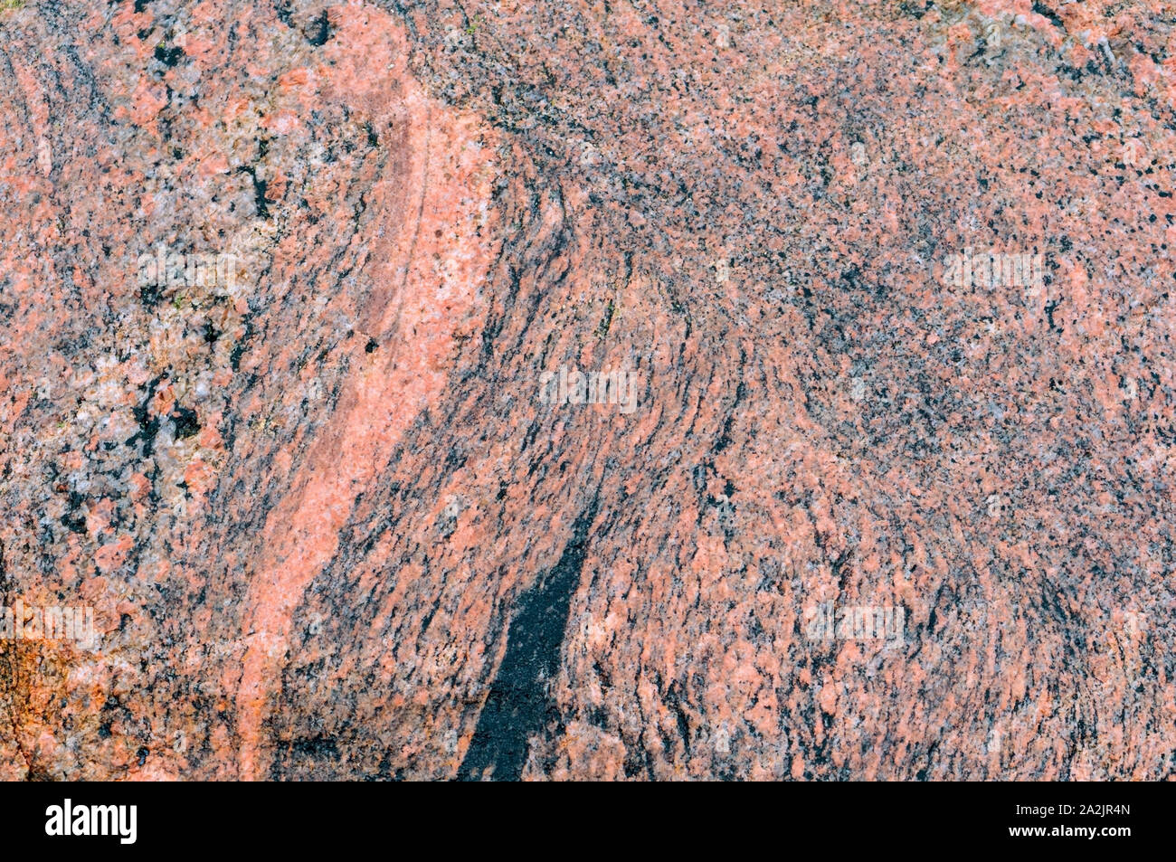 stone texture, the background of natural sea stone Stock Photo - Alamy