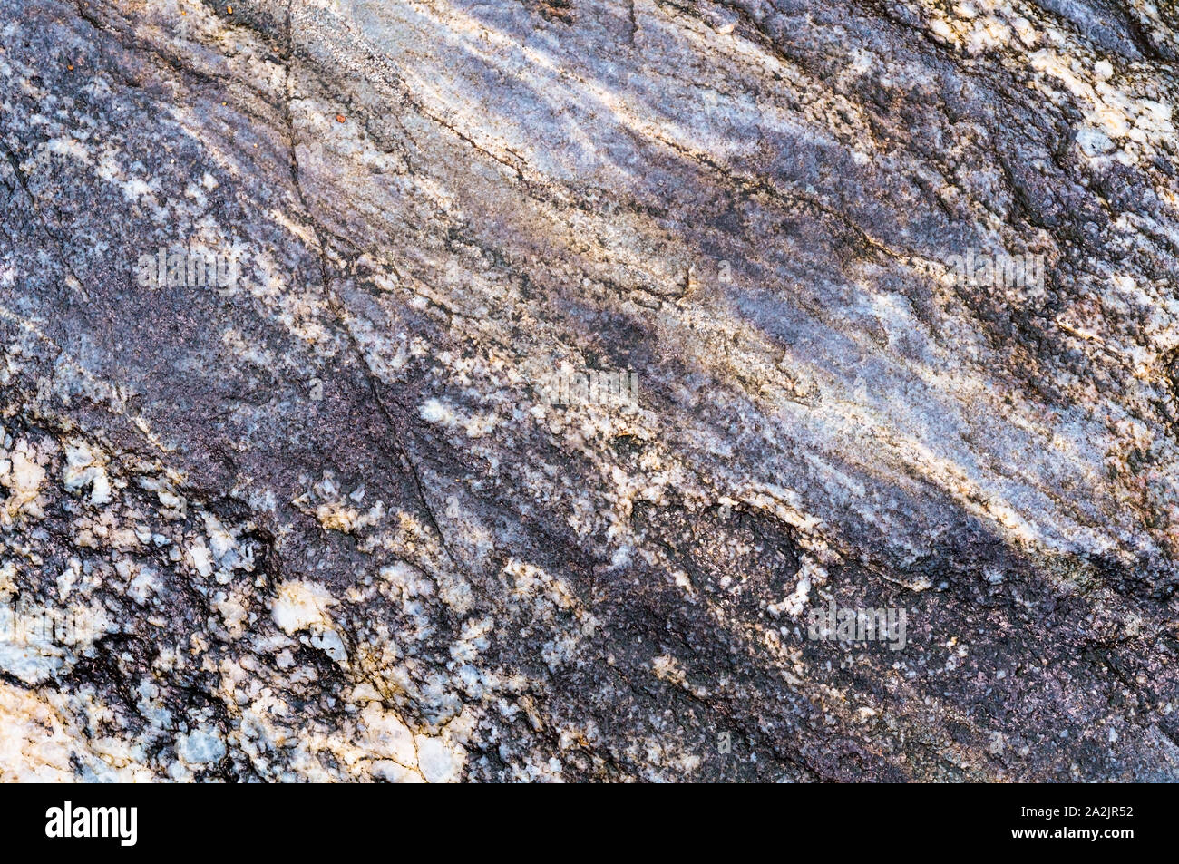 stone texture, the background of natural sea stone Stock Photo - Alamy