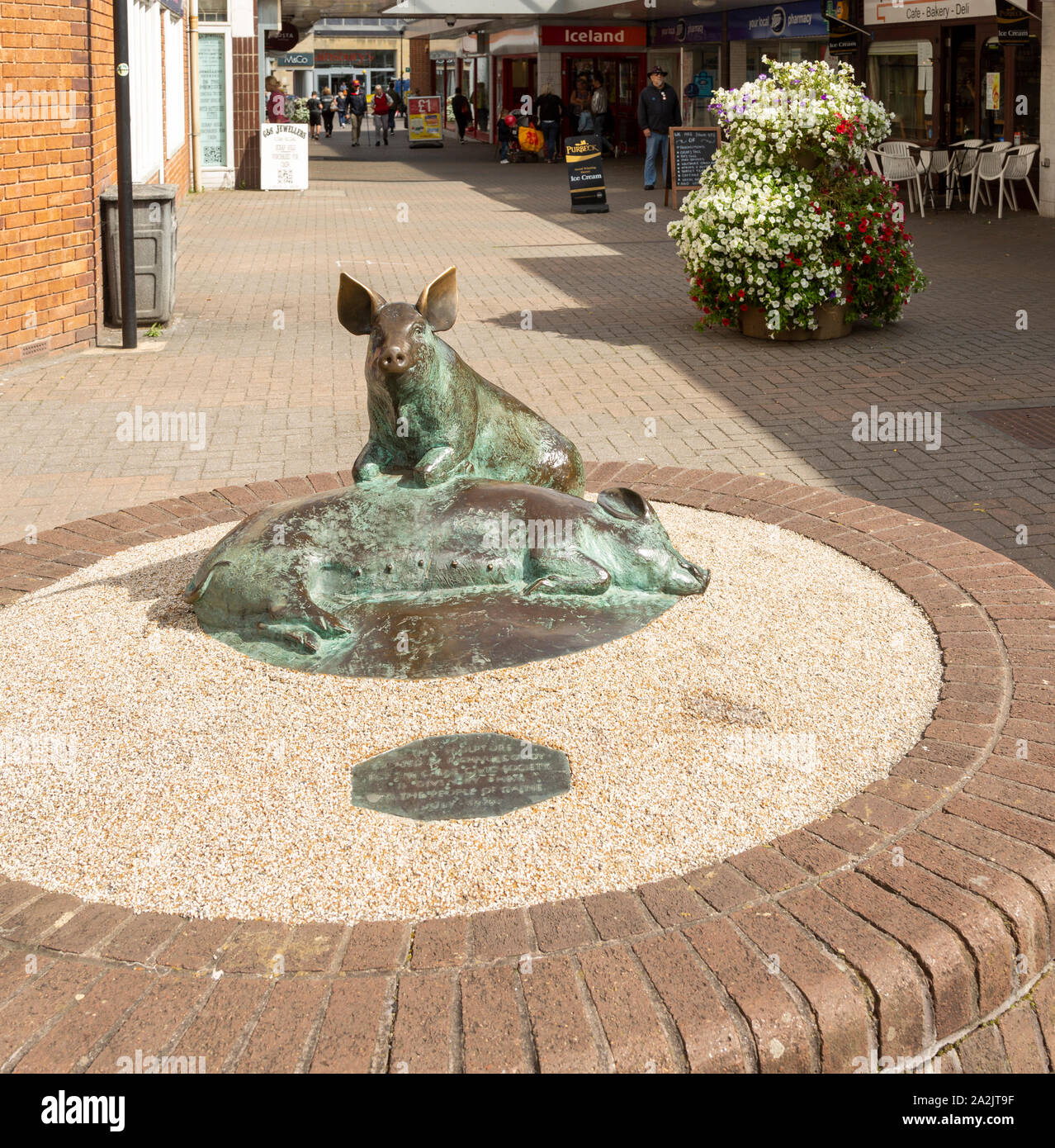 Pig sculpture calne wiltshire hi-res stock photography and images - Alamy