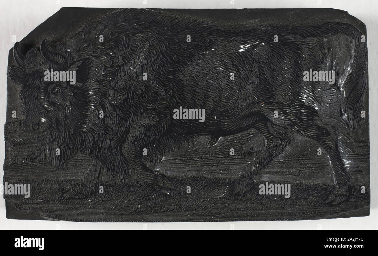 Woodblock for The Urus or Wild Bull, from A General History of ...