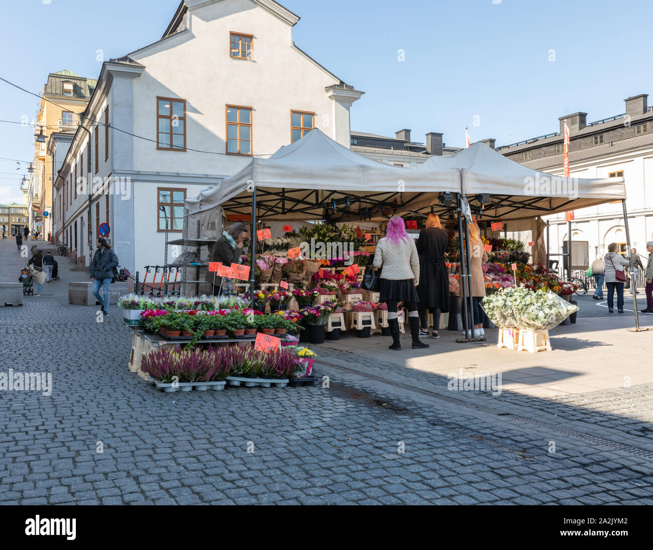 Waiting stall hi-res stock photography and images - Alamy