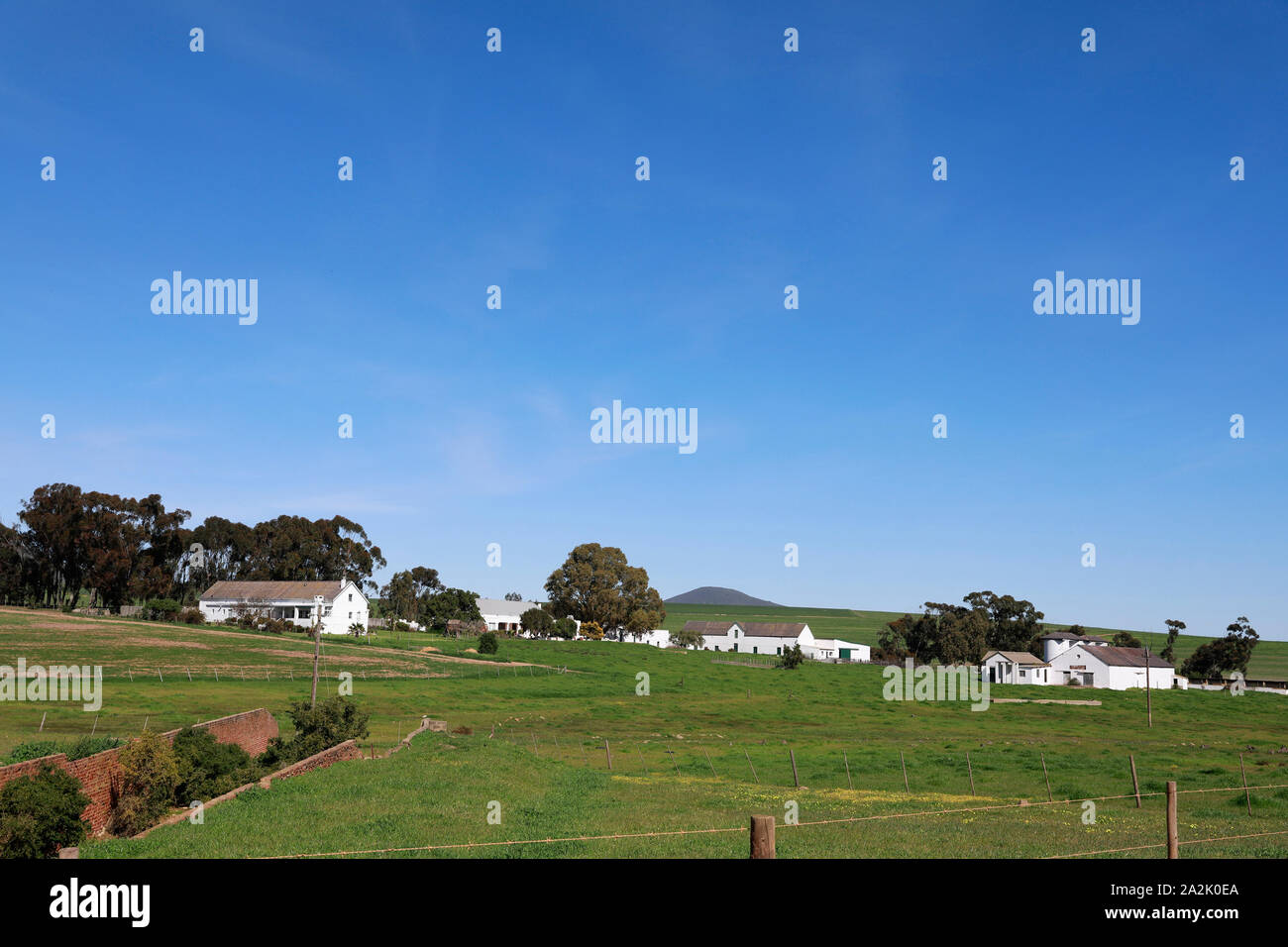 Farm homestead in the Swartland region of the Western Cape Province of ...