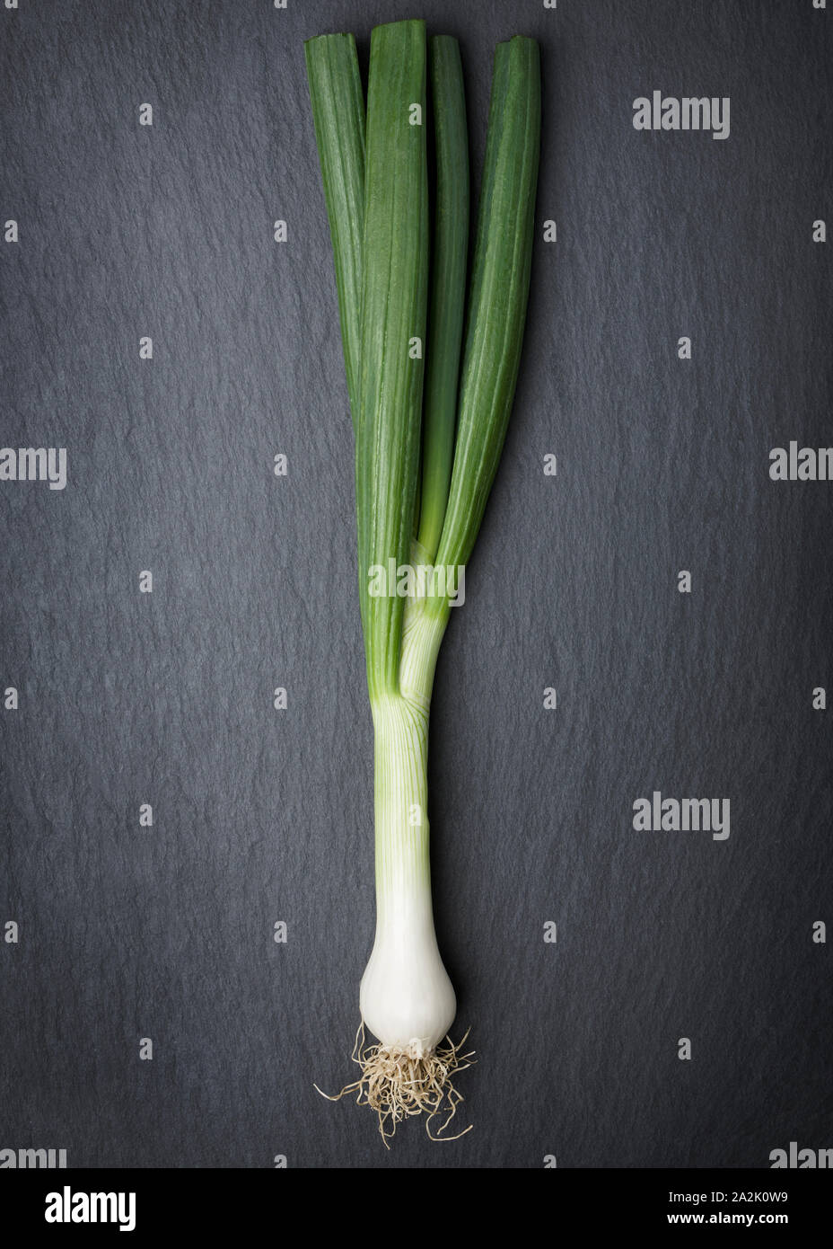 Spring onion isolated hi-res stock photography and images - Alamy