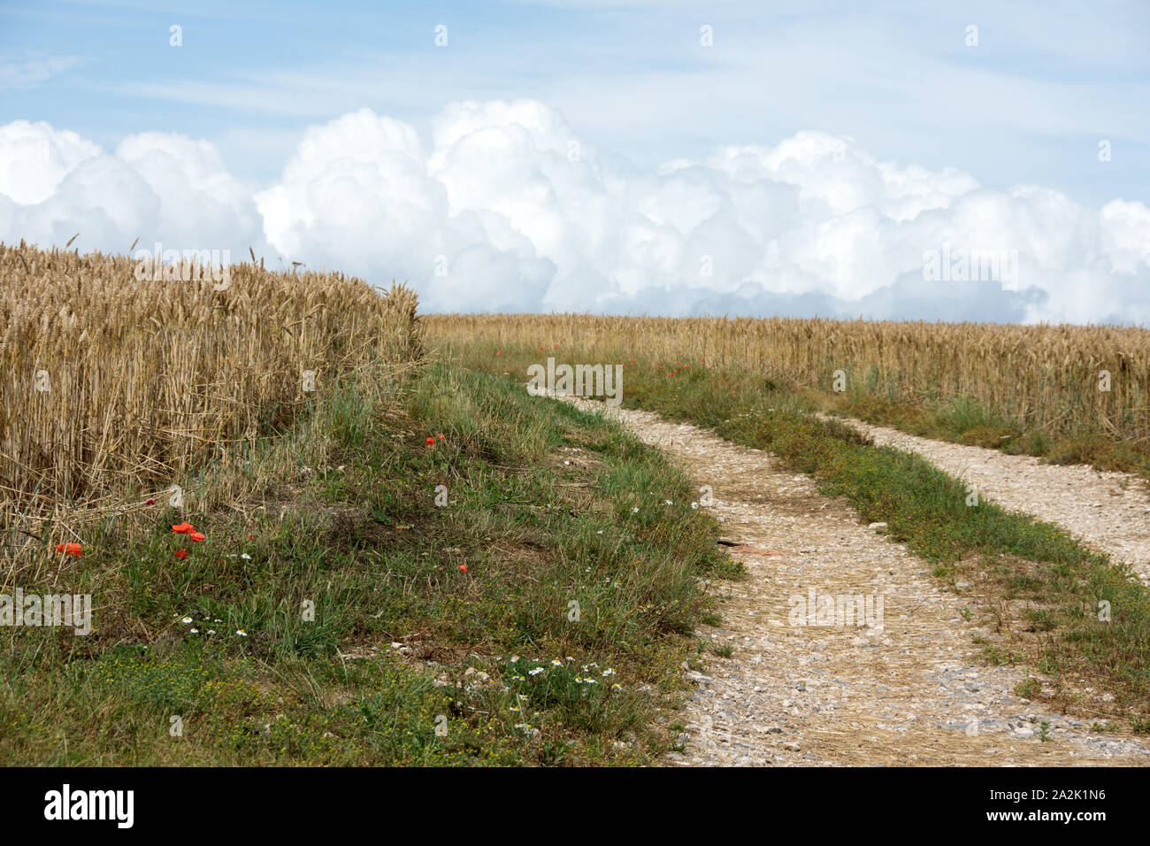 Stoney track hi-res stock photography and images - Alamy