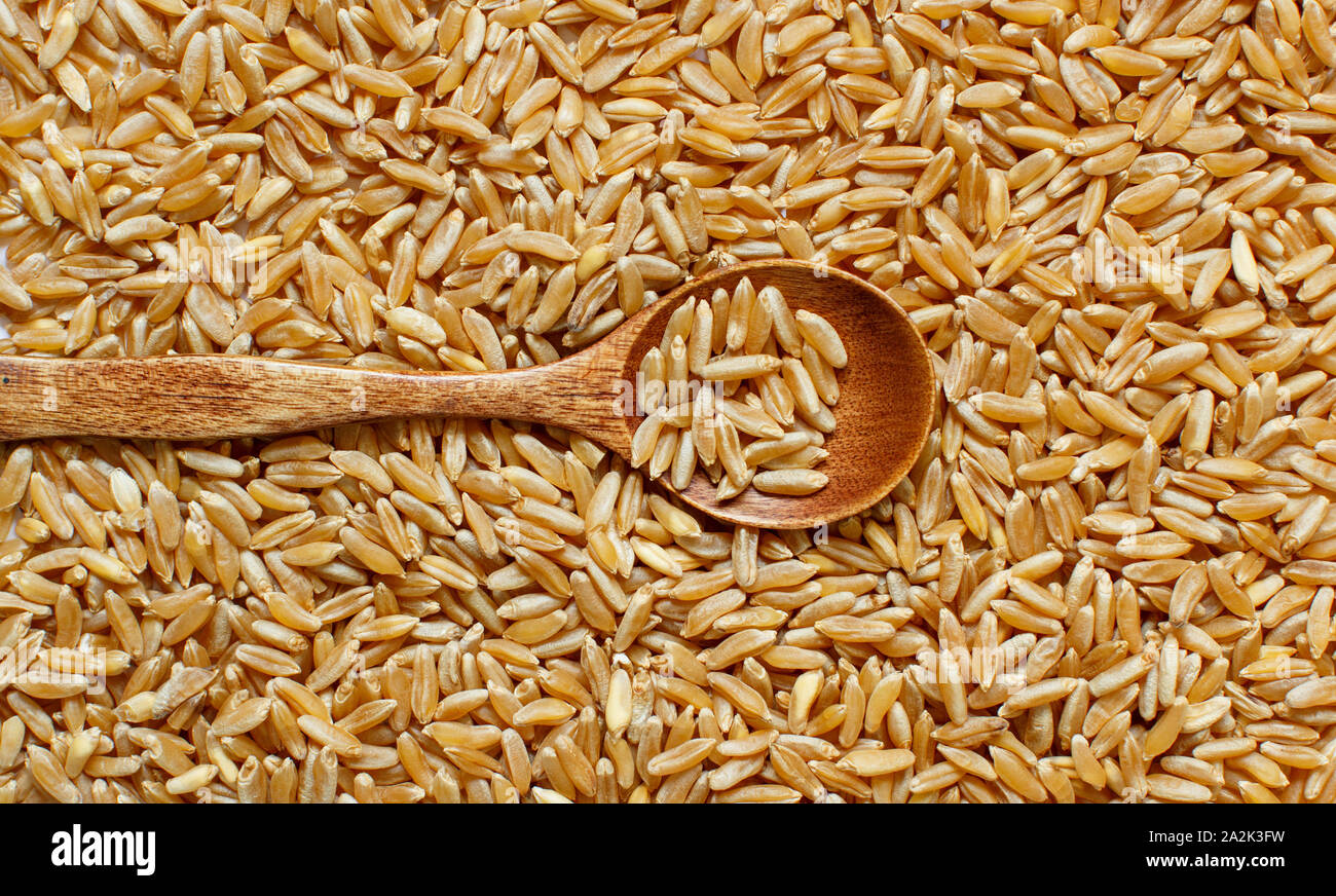 Pile of Kamut grain with a spoon top view Stock Photo - Alamy
