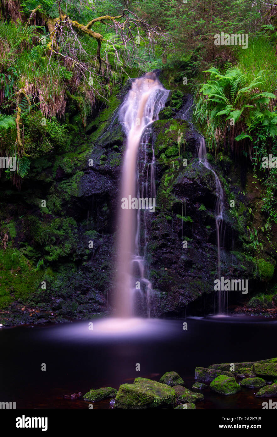 Hindhope Linn Waterfall, Northumberland, UK Stock Photo - Alamy